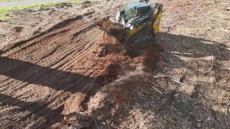 The Complete Guide to Land Clearing in NSW | Booms Up Civil Group